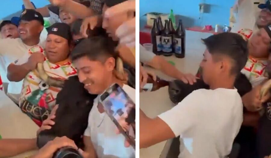 Video: Maltrato animal desata indignación: toro es obligado a beber ...